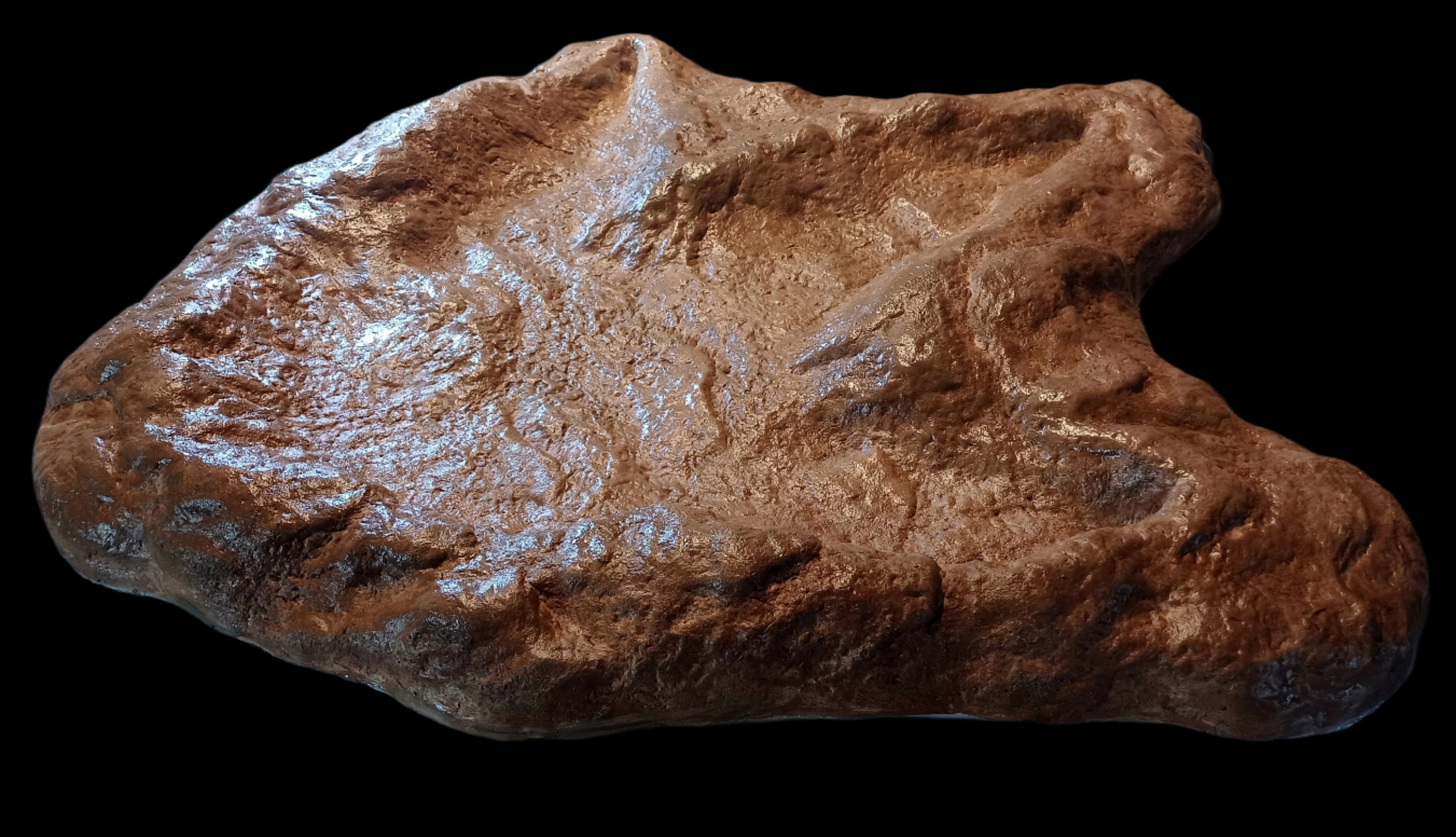 Giant Tyrannosaurus rex Footprint Cast 3 Feet Long — The Prehistoric Store