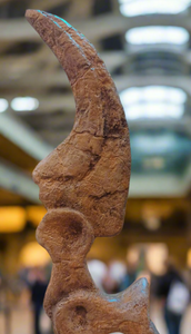 Utahraptor Sickle Claw — The Prehistoric Store