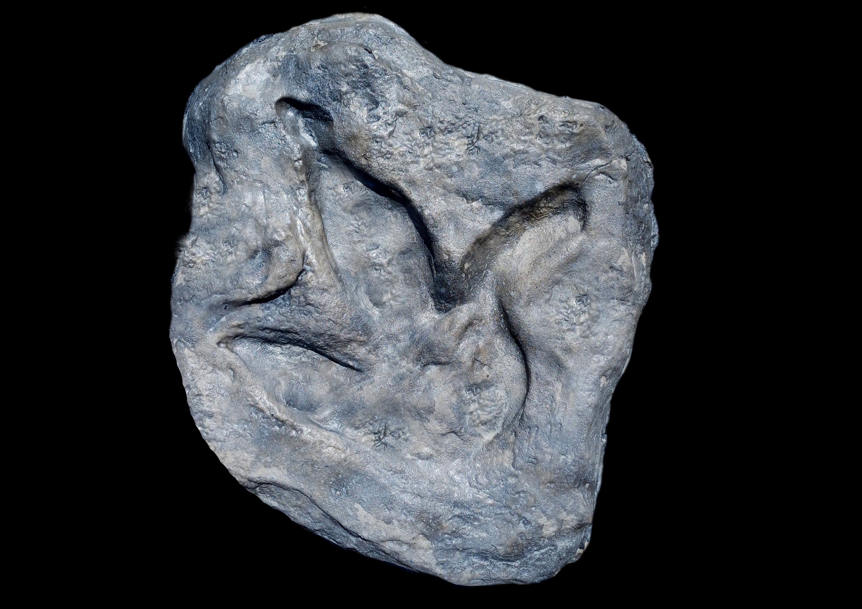 UK Theropod Footprint Replica (Isle of Skye) - Megalosaurus — The ...