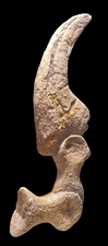 Utahraptor Sickle Claw — The Prehistoric Store