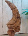 Museum Quality Utahraptor Sickle Claw With Oak Display Stand, Infograp ...