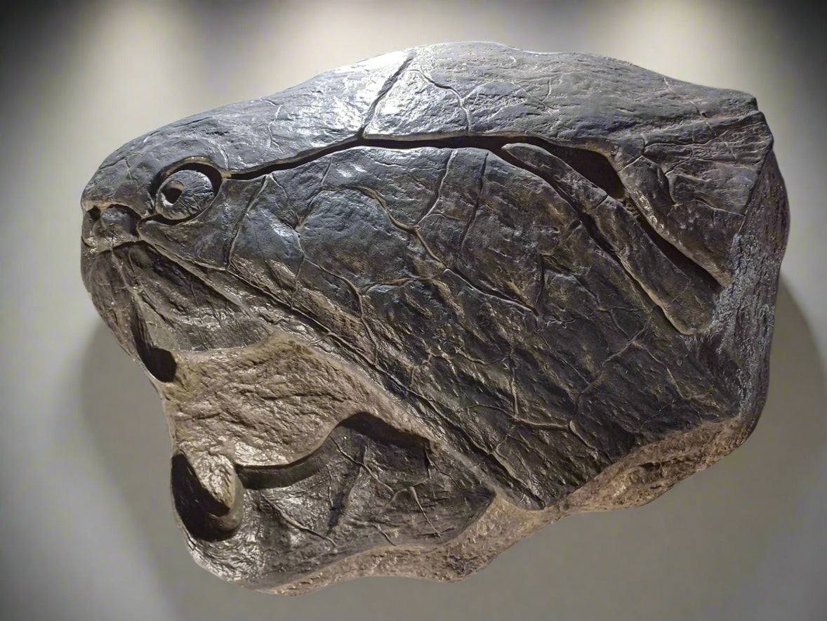 Bespoke life sized Dinosaur Fossil Replicas — The Prehistoric Store