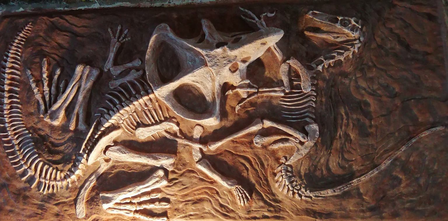 Bespoke life sized Dinosaur Fossil Replicas — The Prehistoric Store