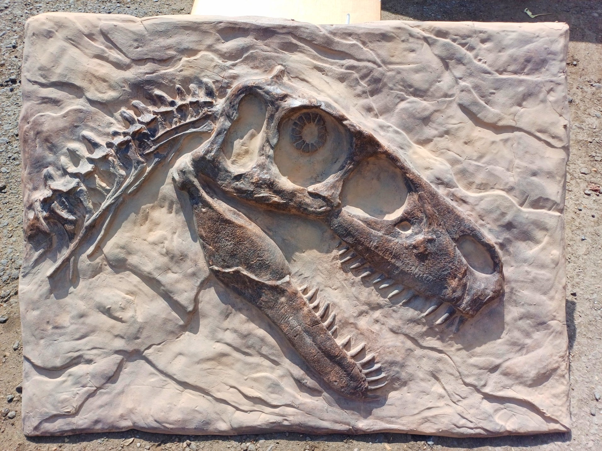 Life Size Utahraptor Wall Display Panel 98cm X 76cm (Copy) — The ...