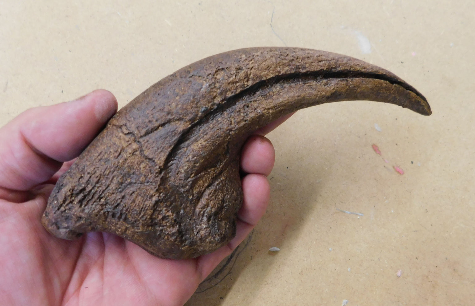 Products — The Prehistoric Store