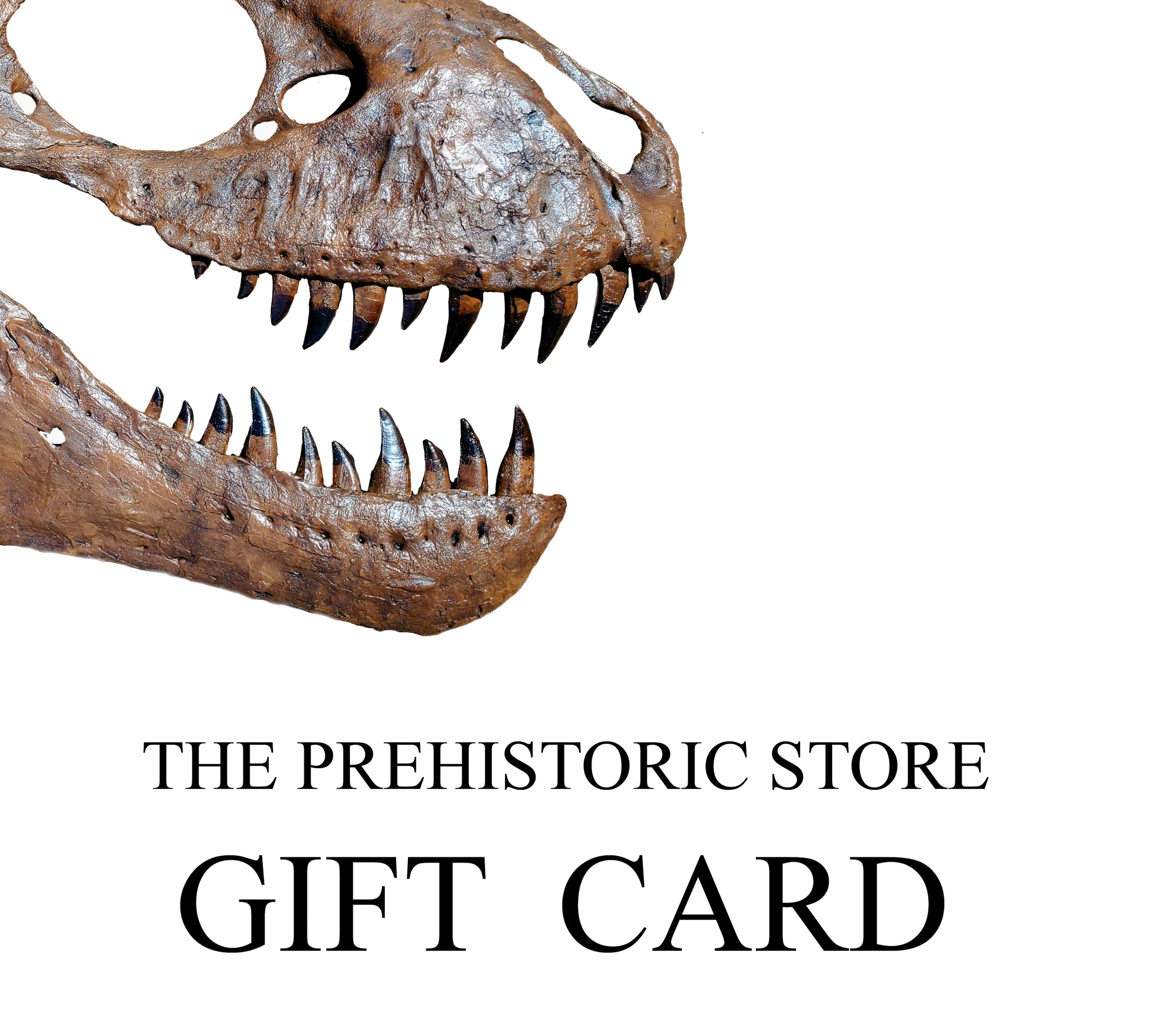 Prehistoric Store Gift Card — The Prehistoric Store