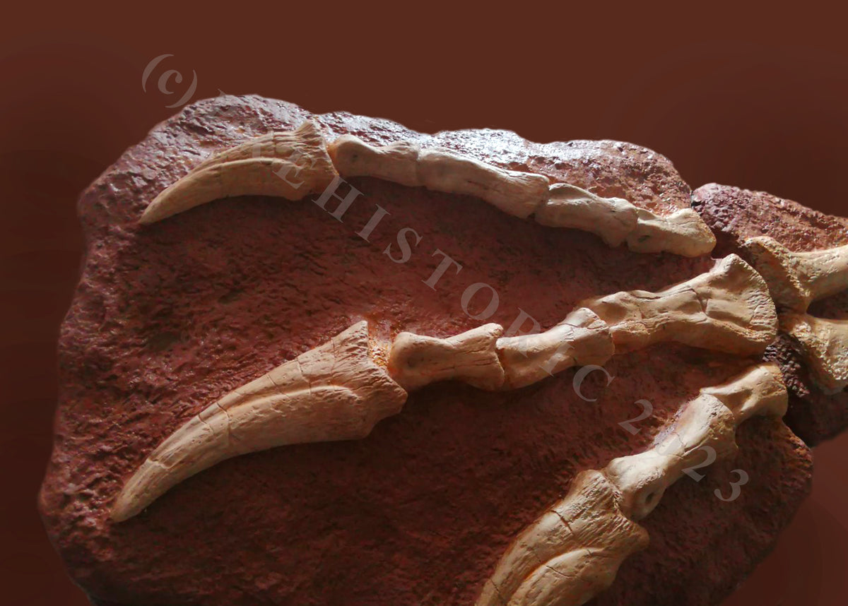 Spinosaurus aegyptiacus Life Sized Hand In Matrix Reconstruction — The ...