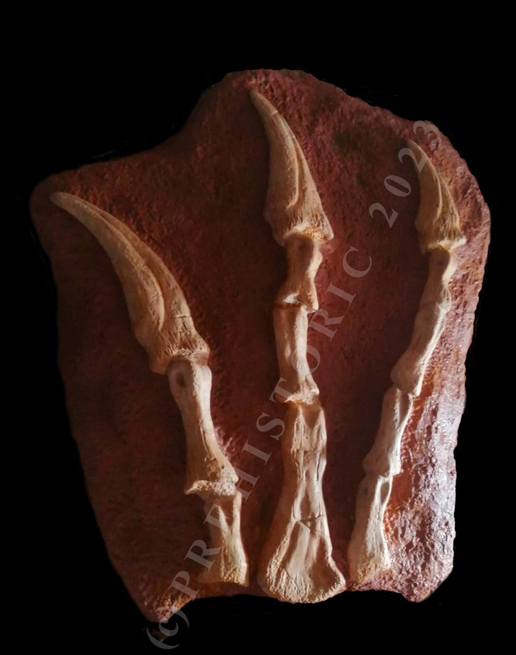 Spinosaurus aegyptiacus Life Sized Hand In Matrix Reconstruction — The ...