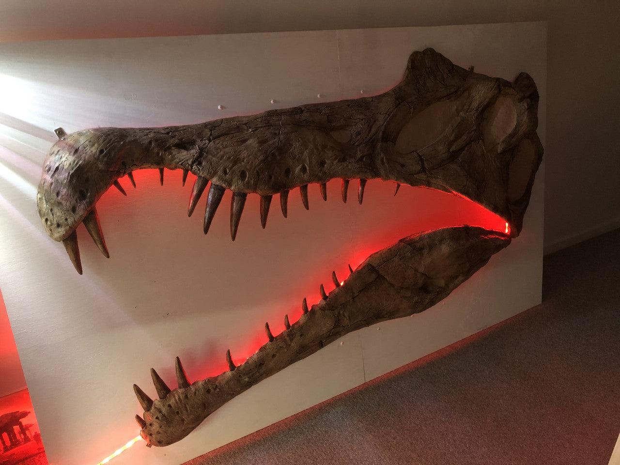 Bespoke life sized Dinosaur Fossil Replicas — The Prehistoric Store