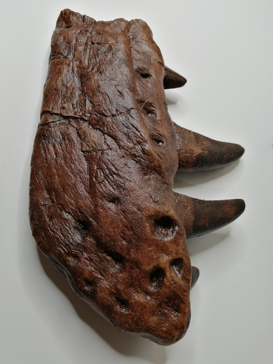 Tyrannosaurus rex Jawbone (Dentary) With Teeth Life Sized 29cm Long Re ...