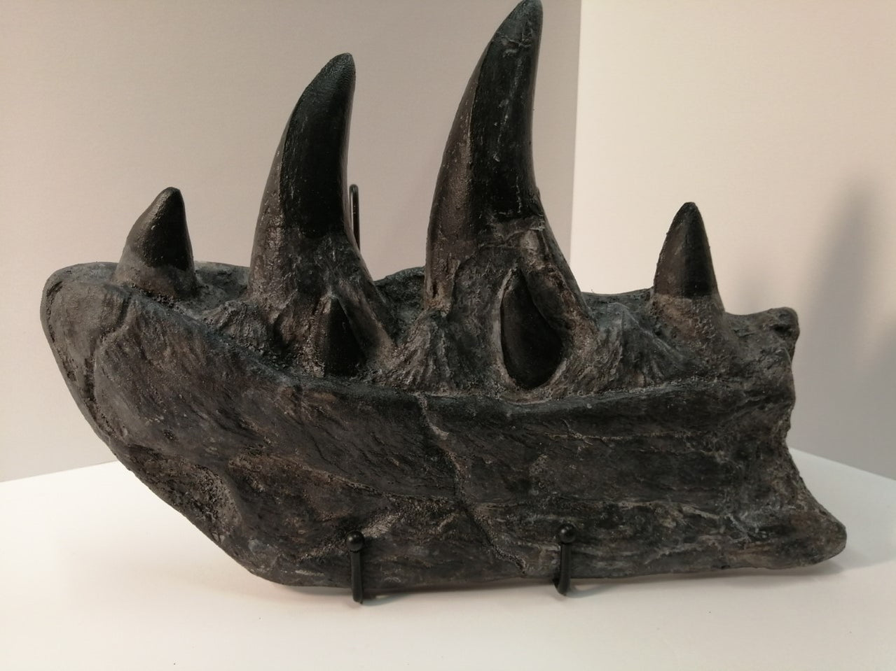 Tyrannosaurus rex Jawbone (Dentary) With Teeth Life Sized 29cm Long Re ...