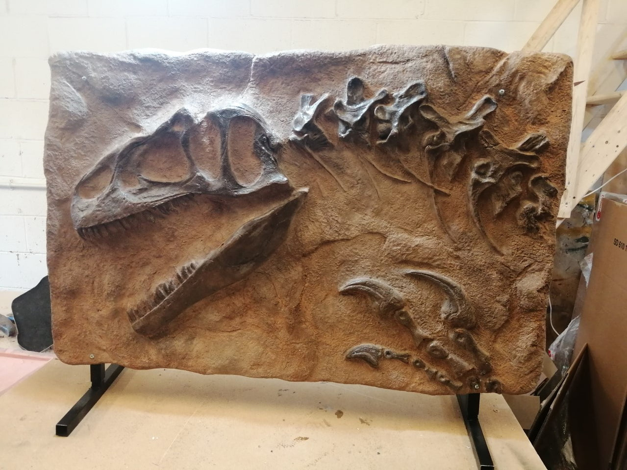 Allosaurus Life Sized Wall Mountable Skull Replica 110cm X 70cm — The ...